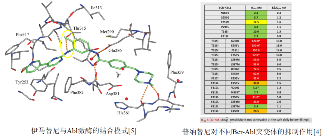 中国首个三代Bcr-Abl抑制剂的诞生和进阶之路 - 亚盛医药